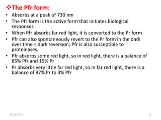 Phytochrome | PPTX
