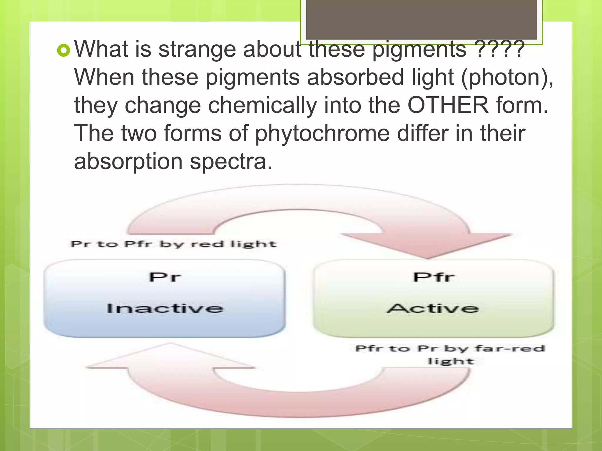 PHYTOCHROME STRUCTURE AND FUNCTION BY NOUR DEEB | PPTX