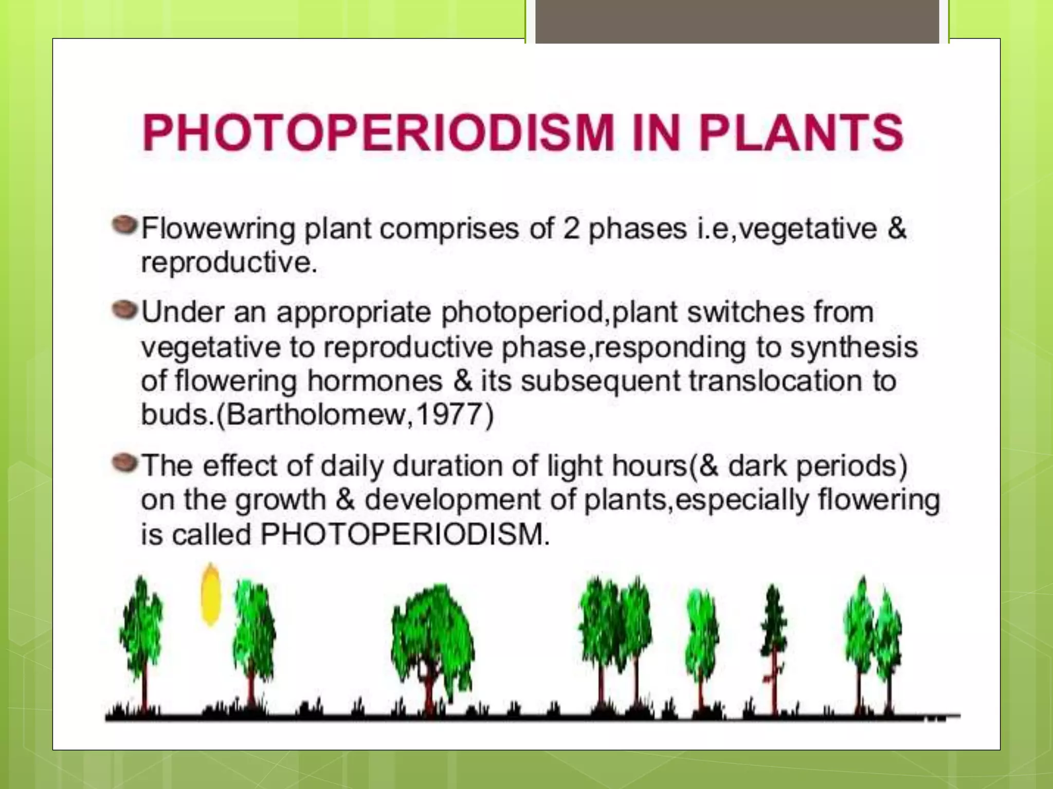 Phytochrome Structure And Function By Nour Deeb Pptx