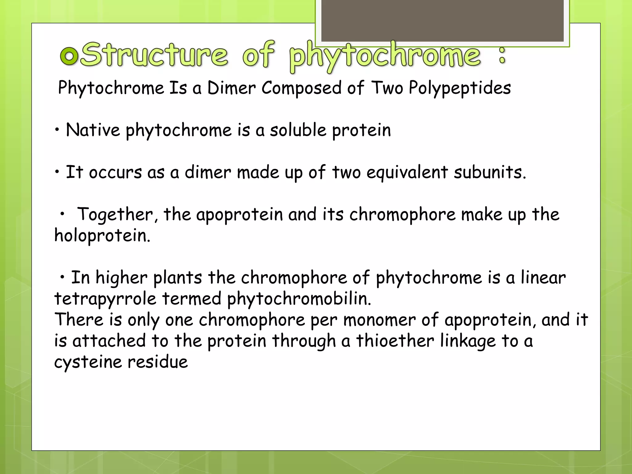 PHYTOCHROME STRUCTURE AND FUNCTION BY NOUR DEEB | PPTX