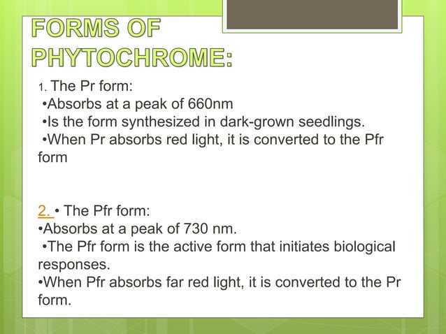 Phytochrome Structure And Function By Nour Deeb Pptx