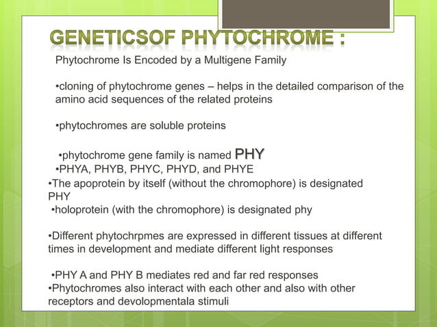 Phytochrome Structure And Function By Nour Deeb Pptx