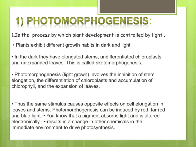 Phytochrome Structure And Function By Nour Deeb Pptx