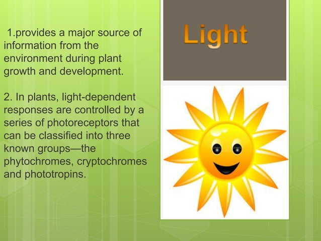 Phytochrome Structure And Function By Nour Deeb Pptx