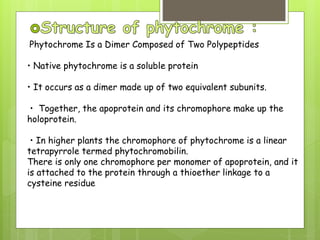 PHYTOCHROME STRUCTURE AND FUNCTION BY NOUR DEEB | PPTX