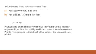 Phytochrome | PPT