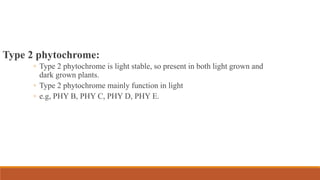 Phytochrome | PPT