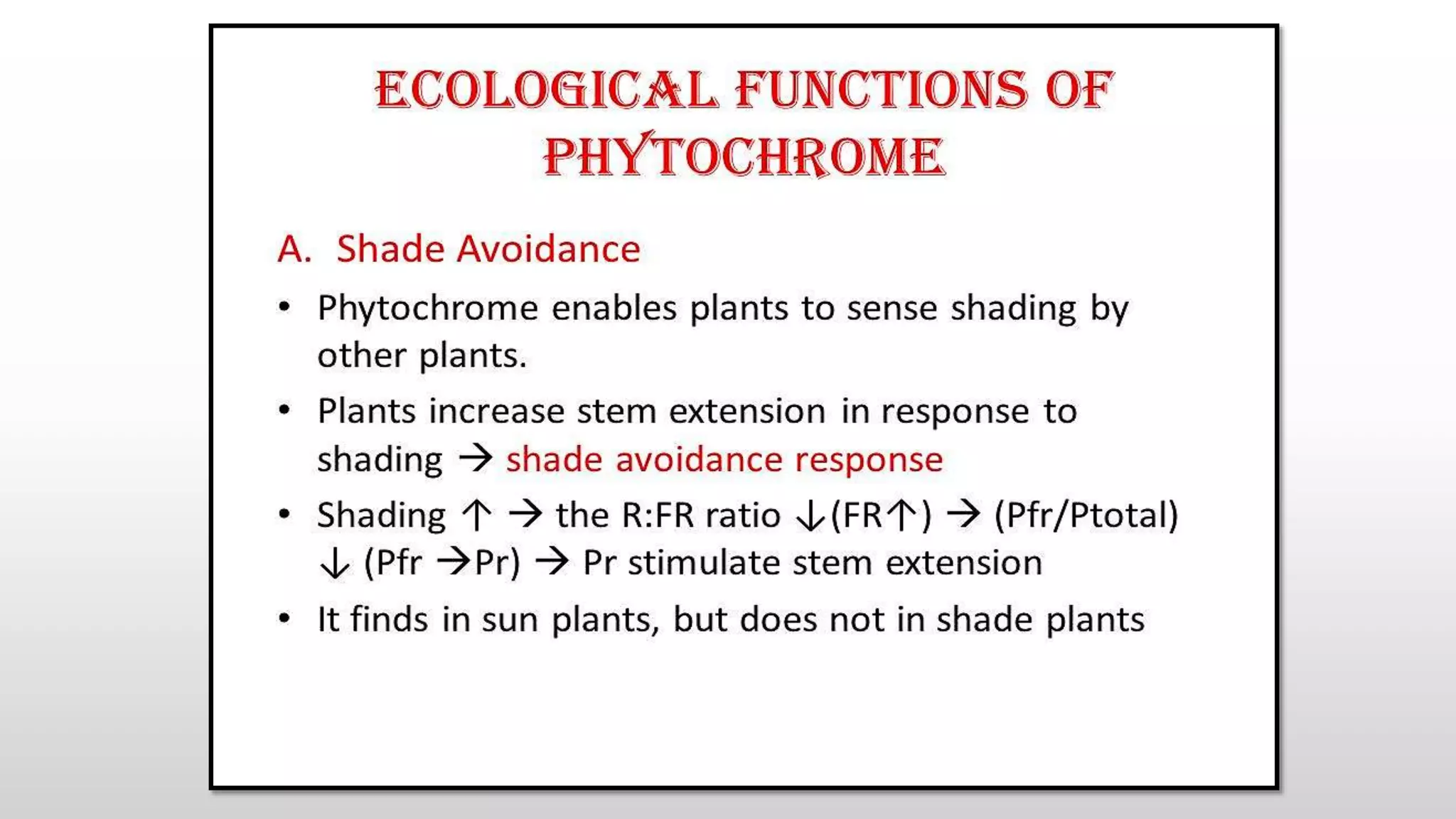 Phytochrome | PPTX