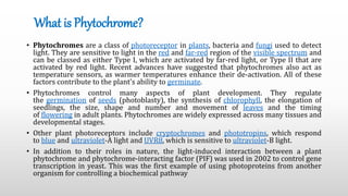 Phytochrome | PPTX