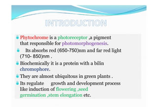 Phytochrome.ppt