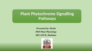 Phytochrome Signaling Pathways in Plants (Deeba, SKUAST-K) | PPT