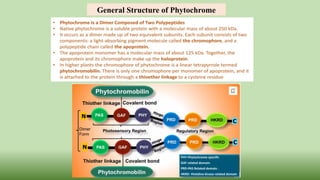 Phytochrome Signaling Pathways in Plants (Deeba, SKUAST-K) | PPTX
