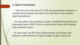 Phytochrome the given homework in your.pptx