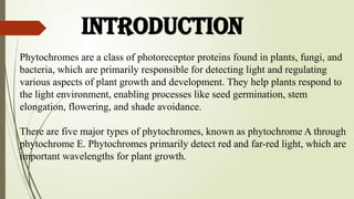 Phytochrome the given homework in your.pptx