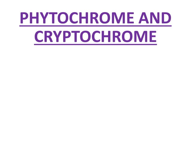 Phytochrome and cryptochrome | PPTX