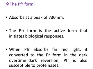 Phytochrome and cryptochrome | PPTX