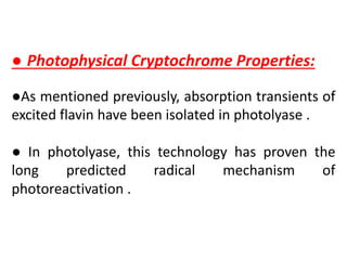 Phytochrome and cryptochrome | PPTX