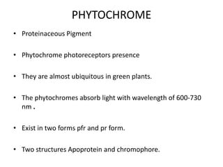 Phytochromes | PPTX