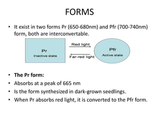 Phytochromes | PPTX