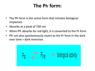 Phytochromes | PPTX