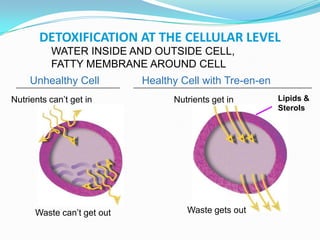 Phytodefense -apr.10,_2012 | PPTX