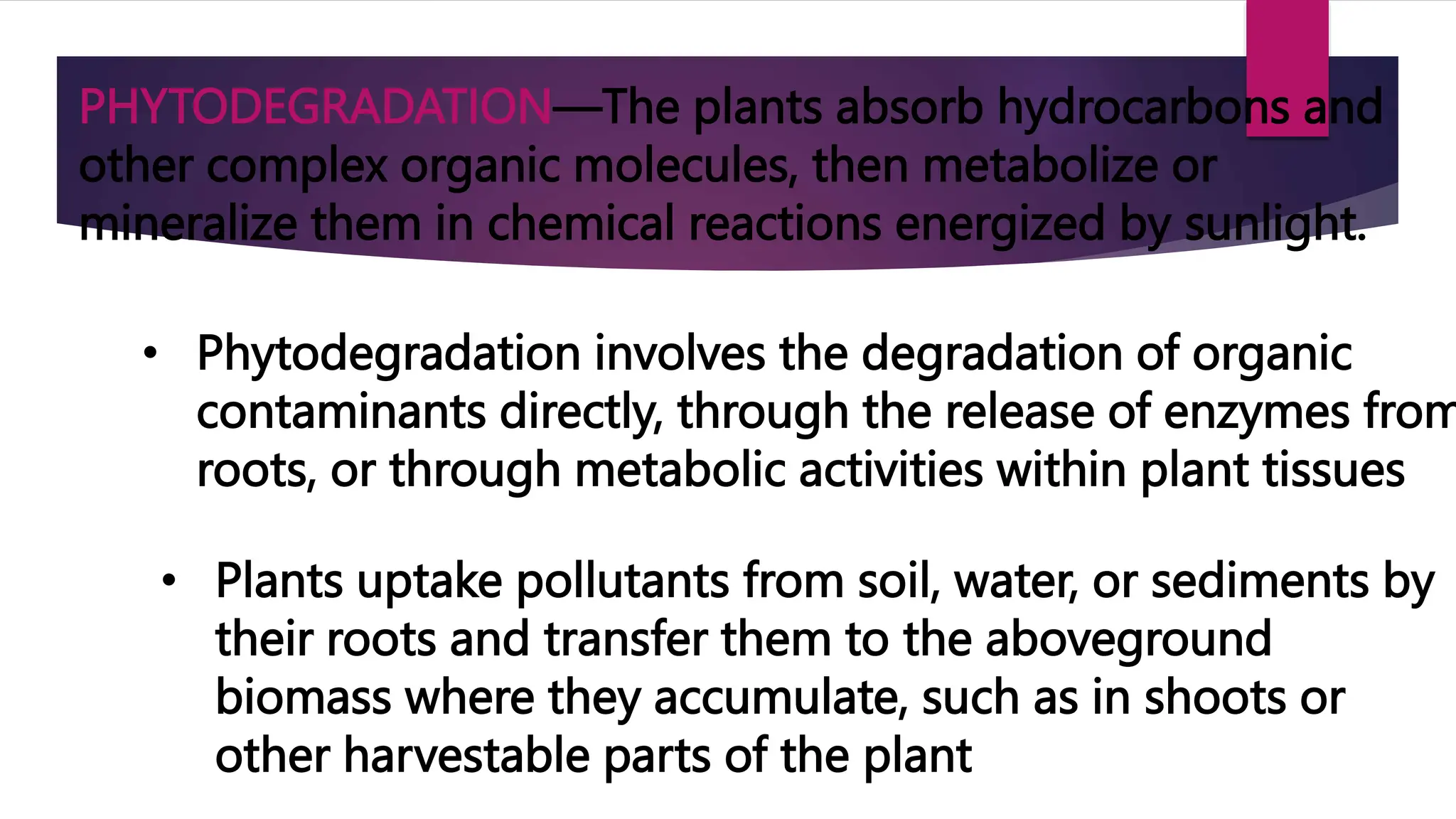 phytodegradation mechanisms and its application.pptx