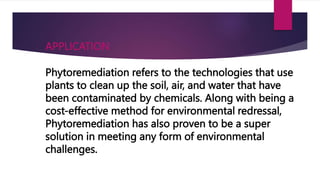 phytodegradation mechanisms and its application.pptx