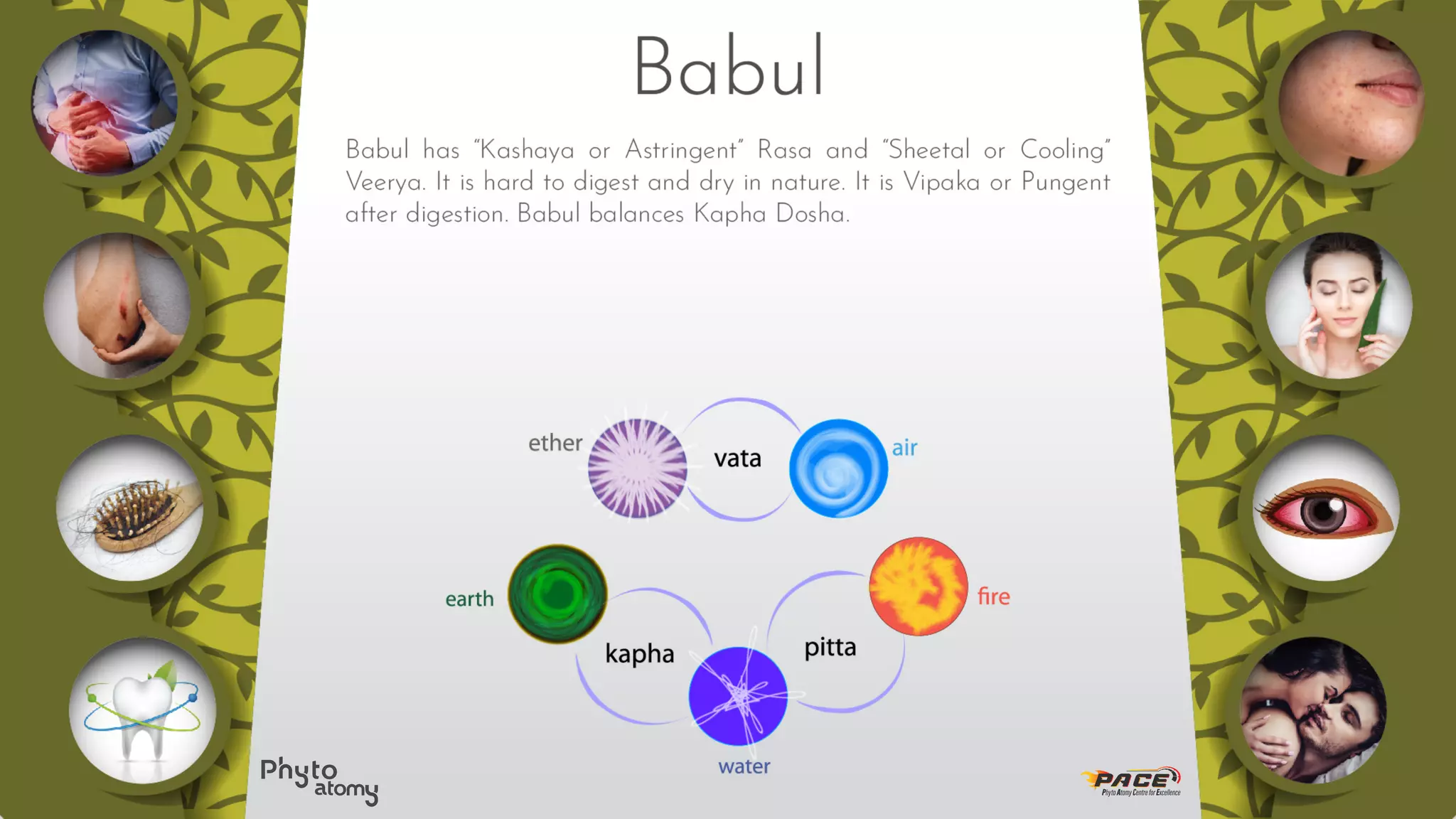 Phyto Essential Babul 60 Tablets by Phyto Atomy.pdf