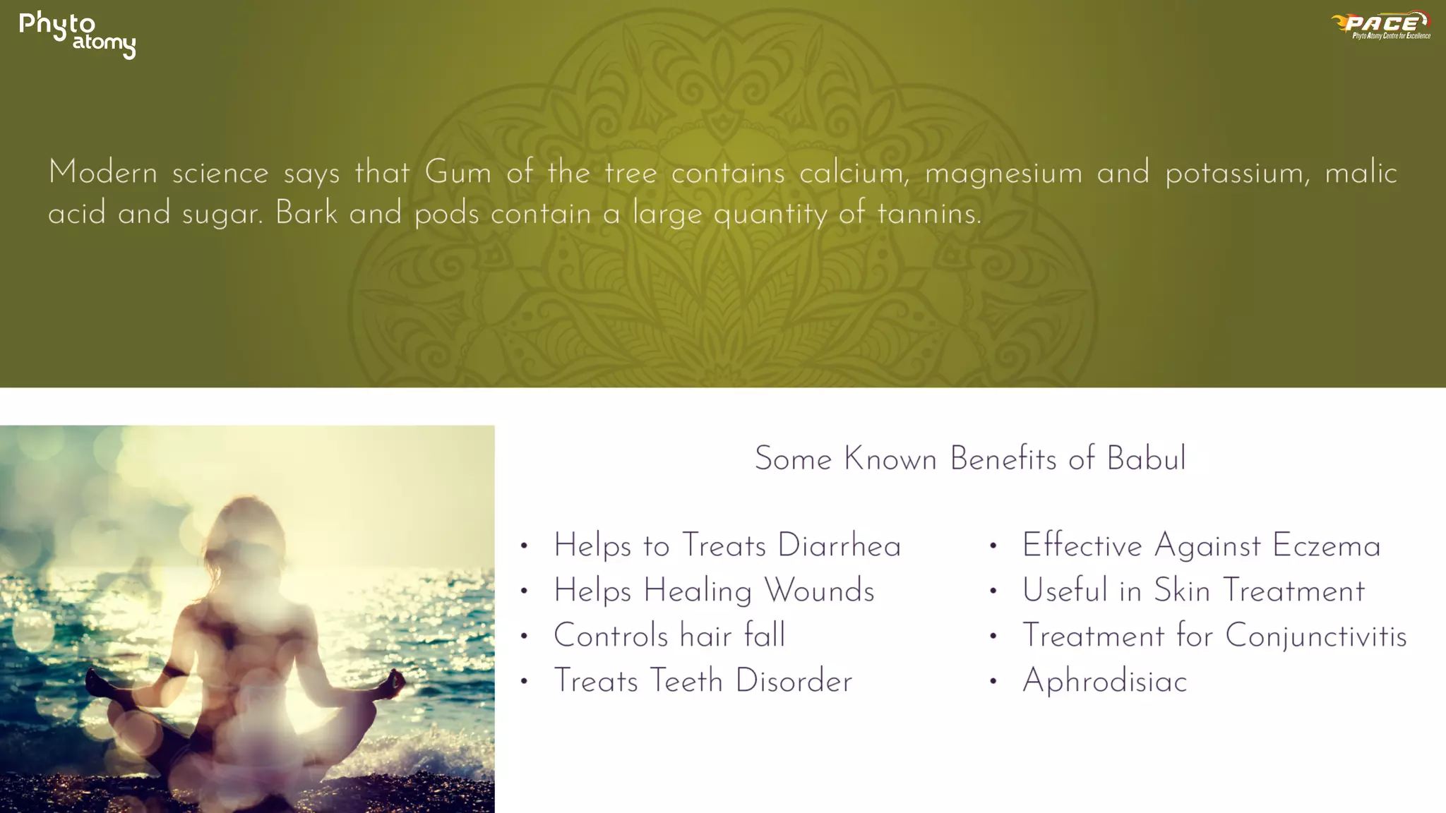 Phyto Essential Babul 60 Tablets by Phyto Atomy.pdf