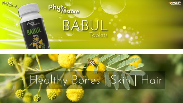 Phyto Essential Babul 60 Tablets by Phyto Atomy.pdf