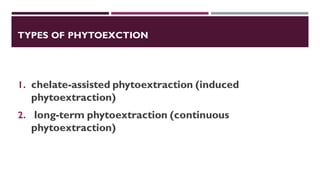 phytoexction and it's types and processes | PDF | Gardening | Home & Garden