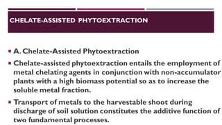 phytoexction and it's types and processes | PDF