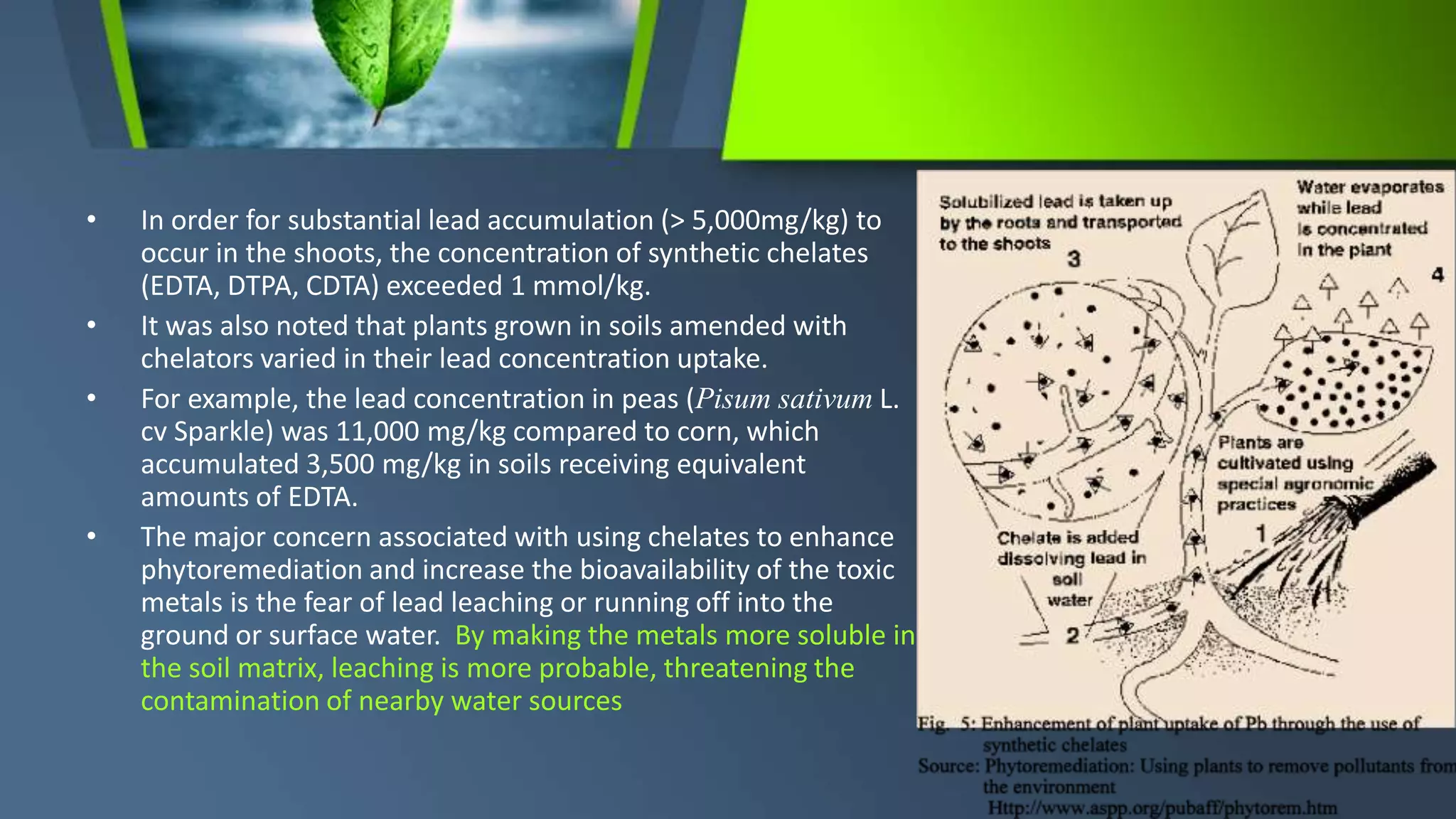 Phytoextraction of lead | PPTX