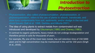 Phytoextraction of lead | PPTX