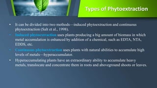 Phytoextraction of lead | PPTX
