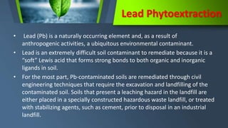 Phytoextraction