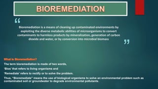 Phytoremediation Animation