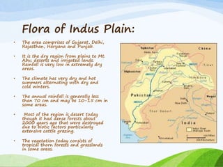 Phytogeographical zones of india | PPTX