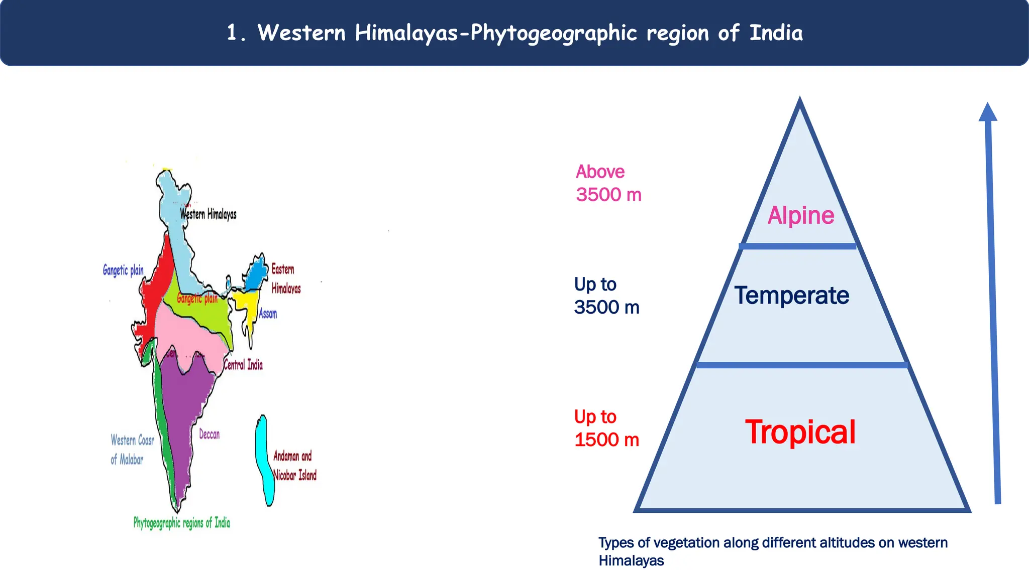 Phytogeographic regions of India. Or Floristic Zones of India pptx | PPTX