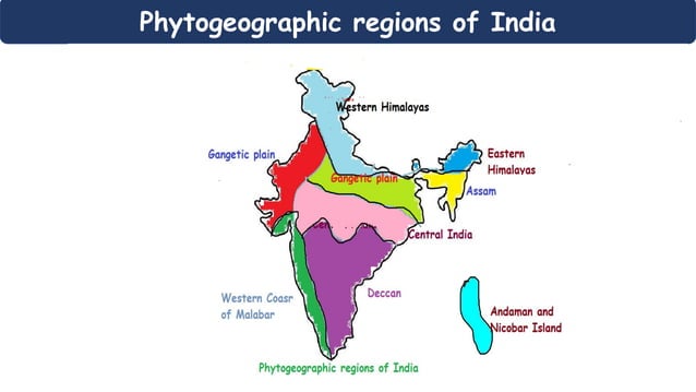 Phytogeographic regions of India. Or Floristic Zones of India pptx | PPTX