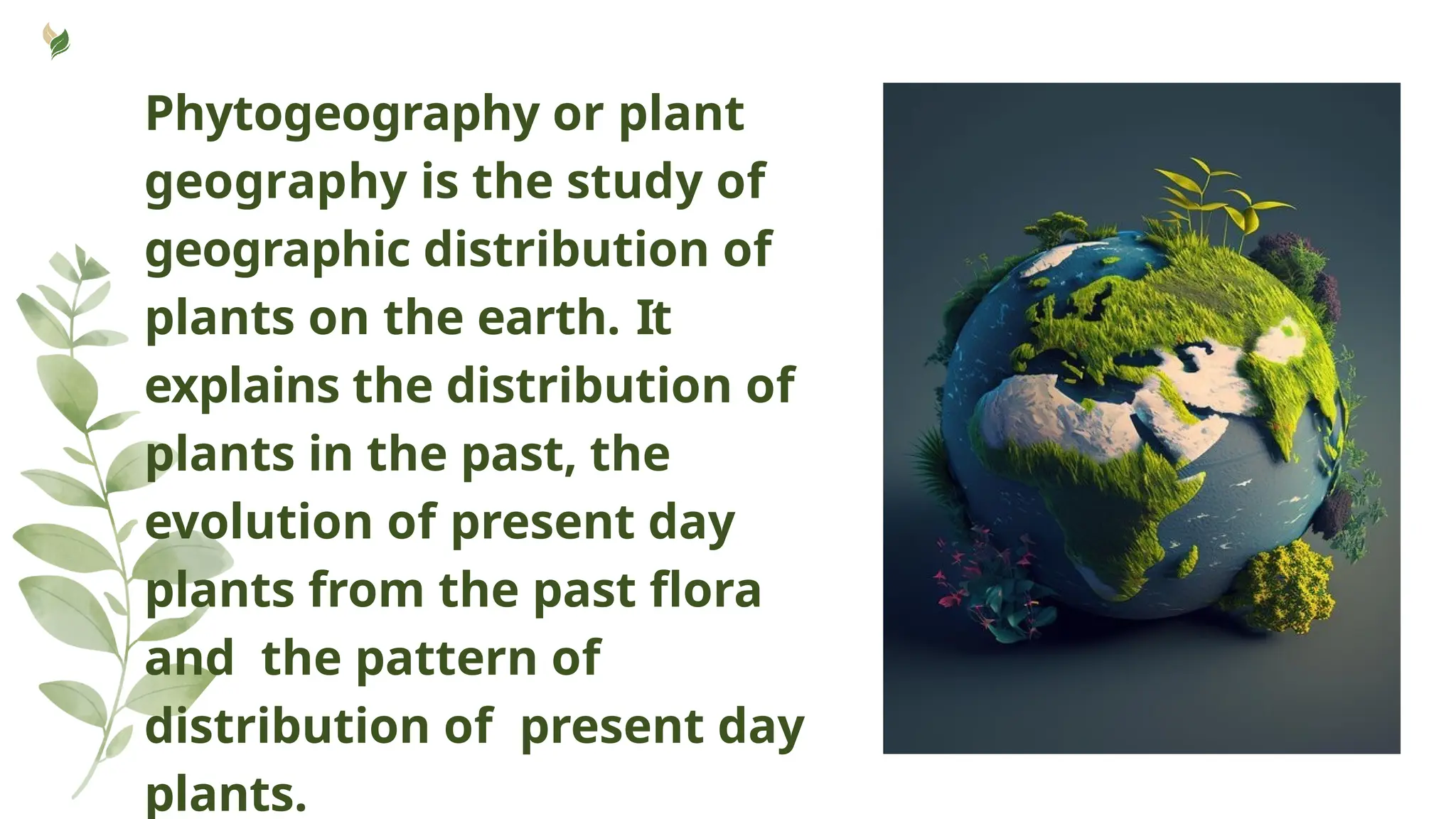 phytogeography introduction - Reshma Mahesh | PPTX