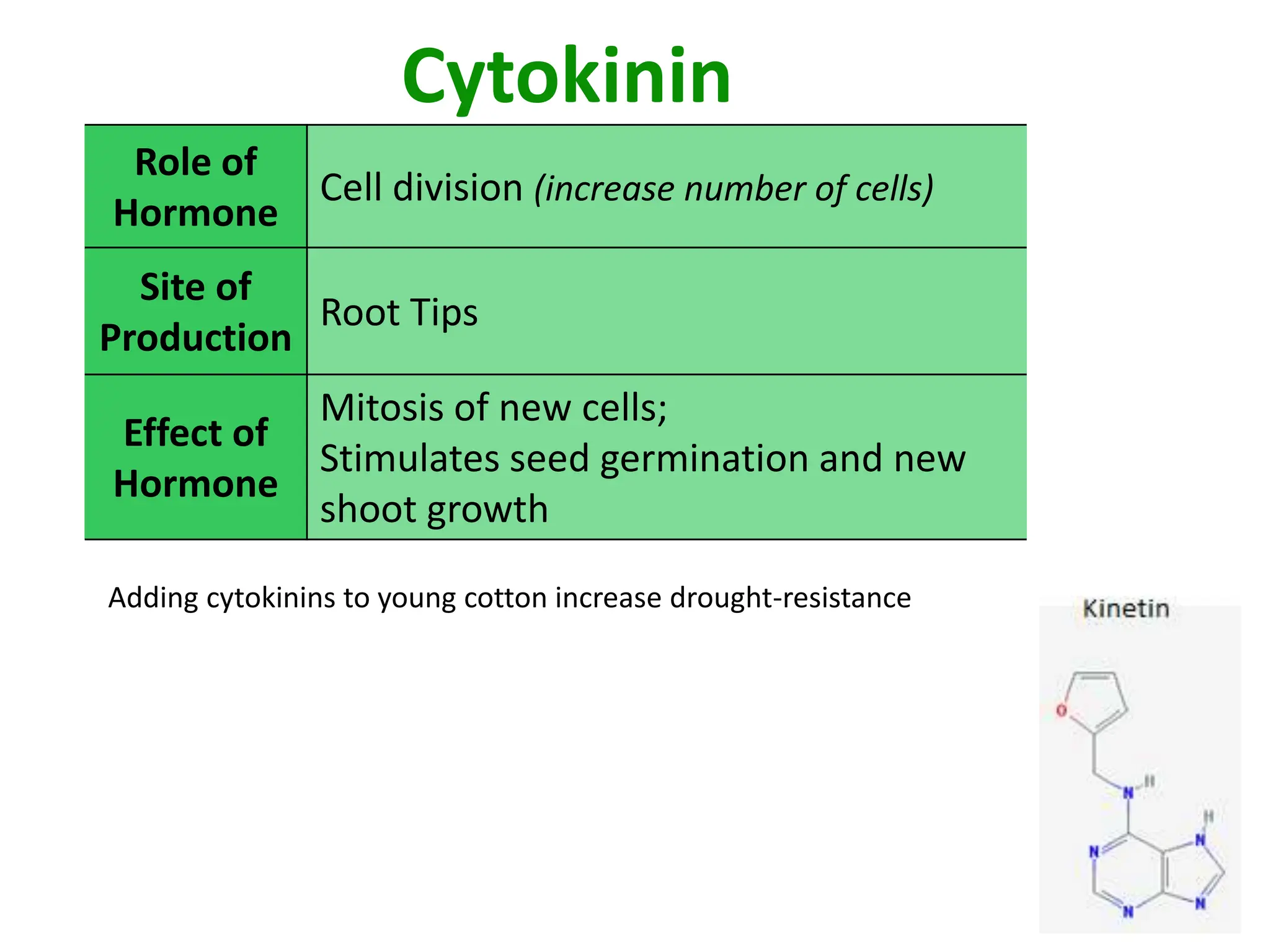 phytoHormones.pptx
