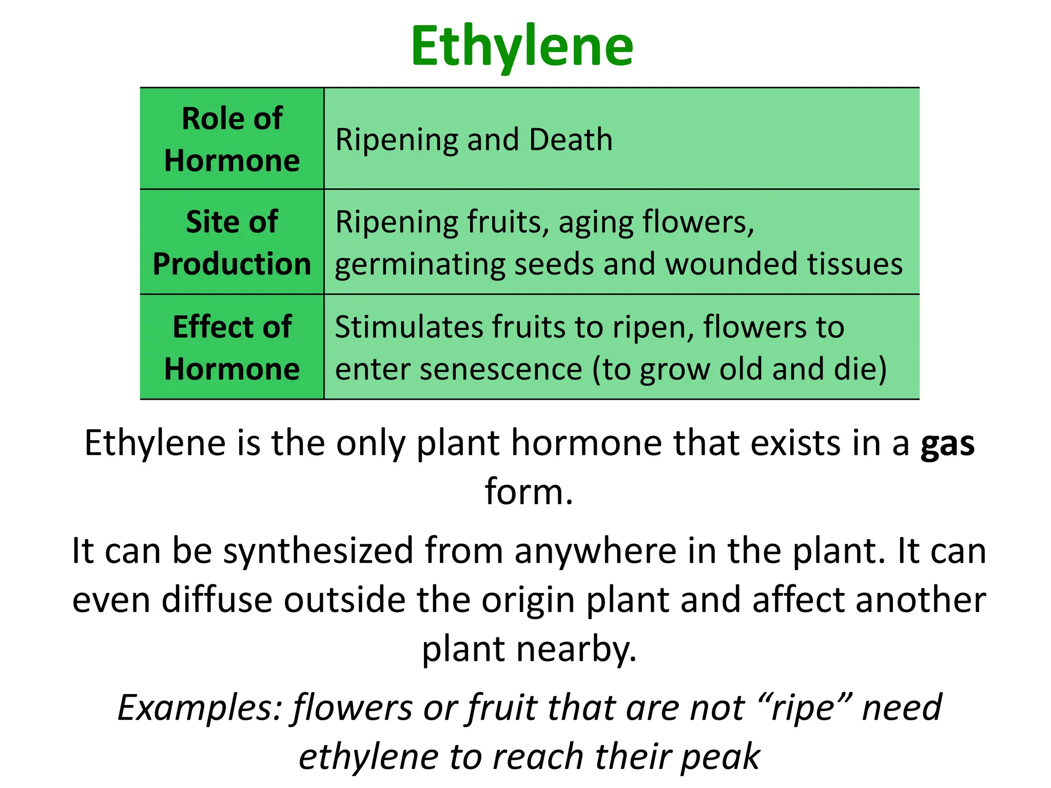 phytoHormones.pptx