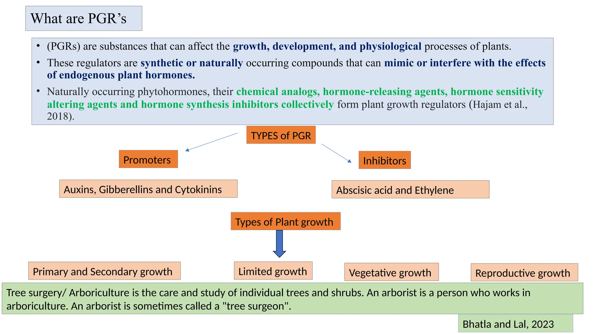 PHYTOHORMONES AND GR ROOT AND CANOP REGULATION.pptx
