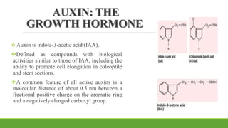 Phytohormones auxin & ethylene synthesis and effects | PPTX