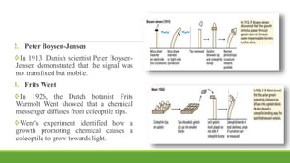 Phytohormones auxin & ethylene synthesis and effects | PPT