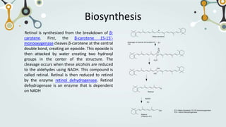 Phytol & retinol (Diterpenoids) | PPTX