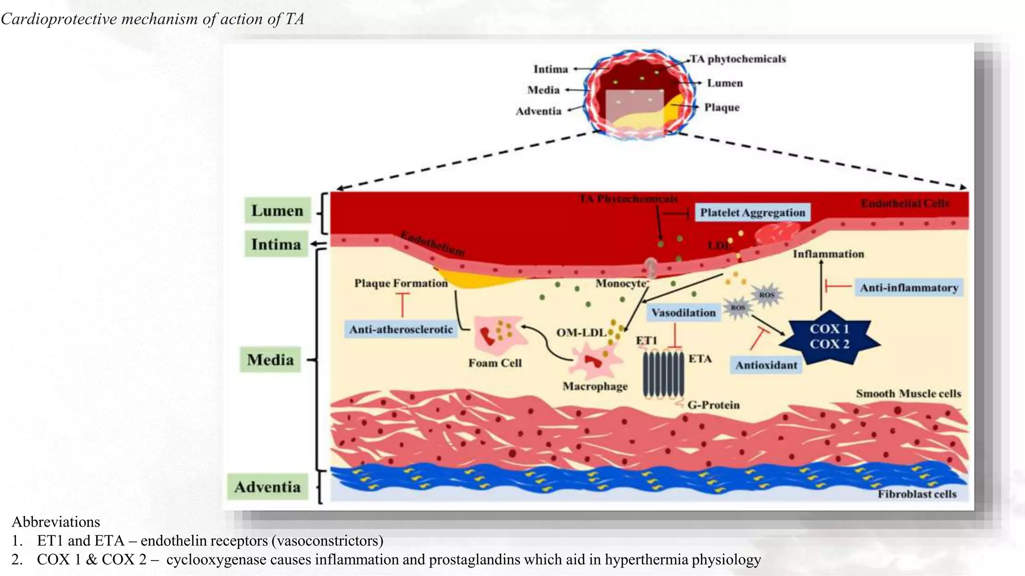 PHYTOMEDICINE - By Dr. Devanshi Goel.pptx | Herbs and Supplements | Alternative Medicine
