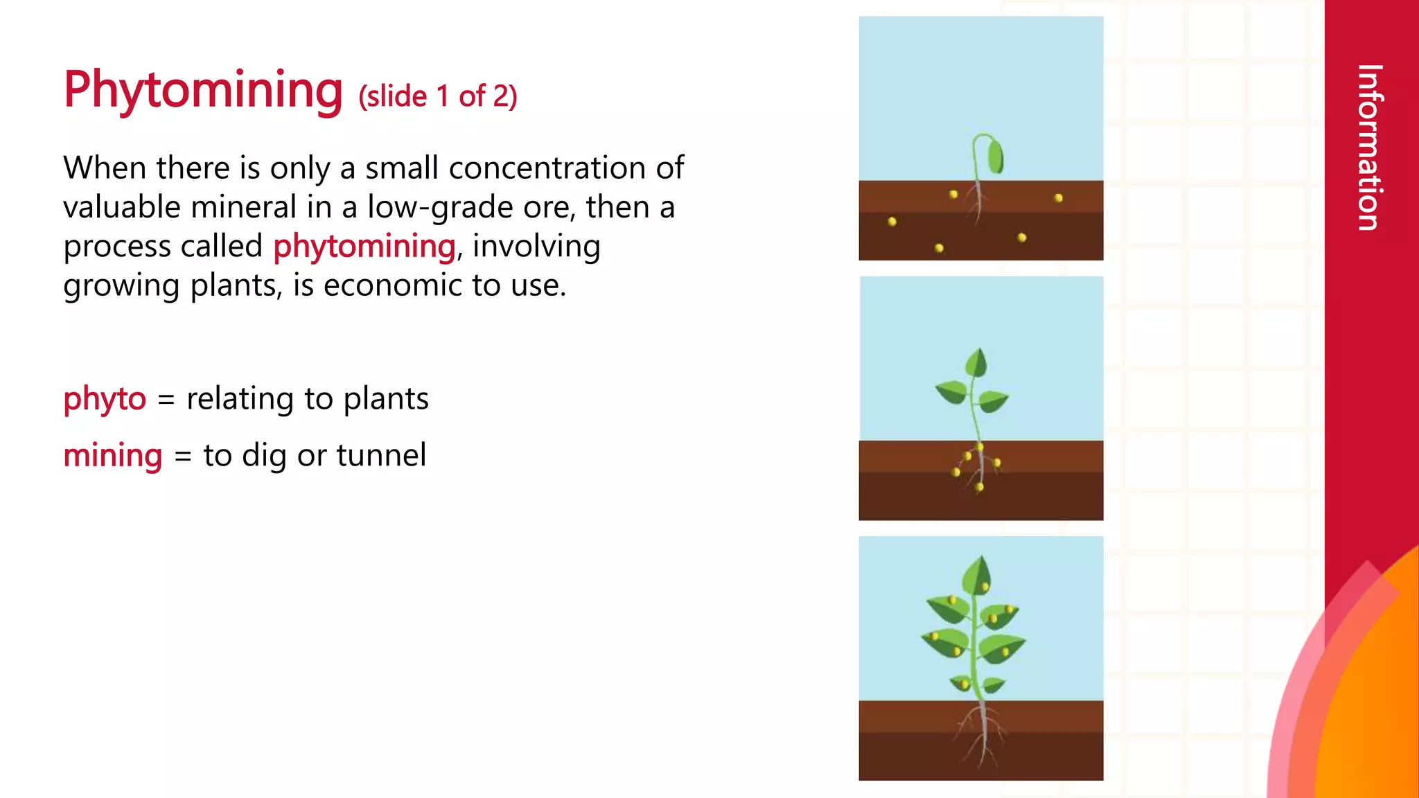 phytomining1416yearsppt_347420.pptx
