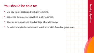 phytomining1416yearsppt_347420.pptx